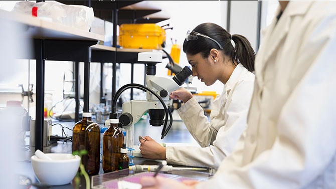 Risk Consulting Services - Risk Management | PwC India